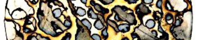 Visual Art: Assessment highlights | Queensland Curriculum and ...